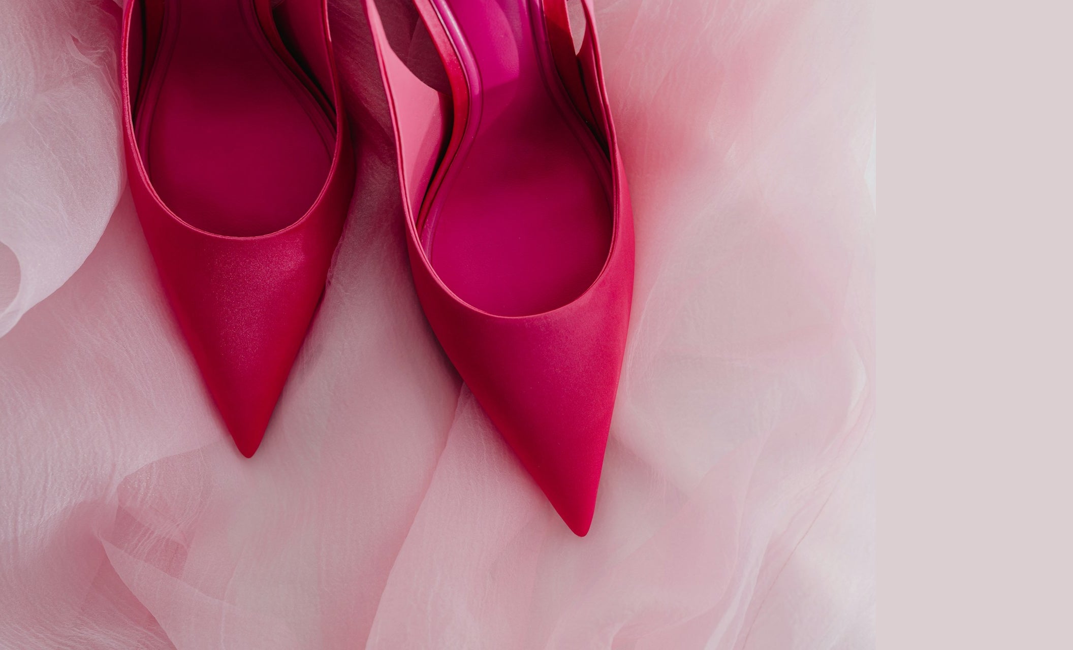 The Chic Essential for Every Shoe Lover: The Shoe Dust Bag – Protect My ...