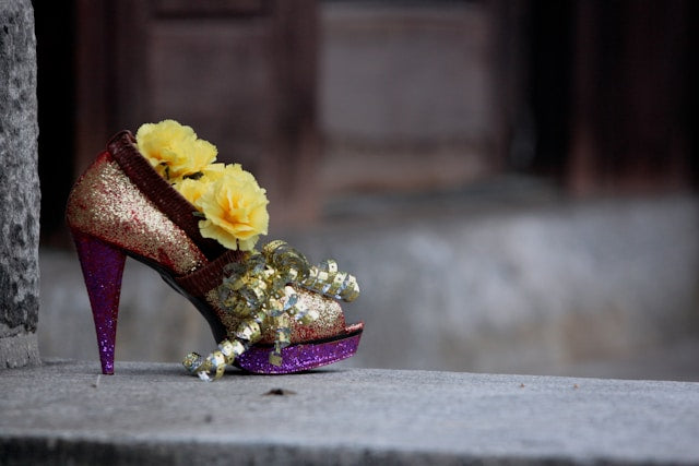 Keep Your Step Sparkling: Your Guide to Shoe Care Products – Protect My ...